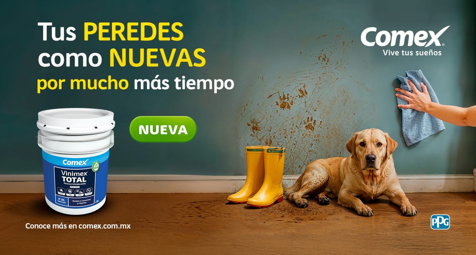 Comex monterrey Soluciones en Pintura Industrial – Comex Monterrey ...